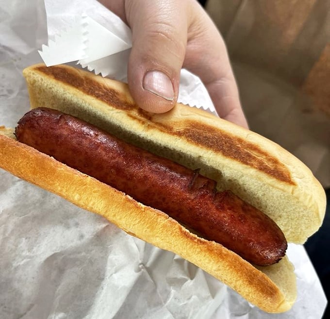 Sometimes simplicity wins the day. This classic hot dog on a perfectly toasted bun reminds us why some food traditions never need updating.