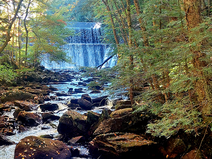Water cascades through the forest with such serene power that you'll find yourself taking deep breaths and forgetting about your inbox entirely.