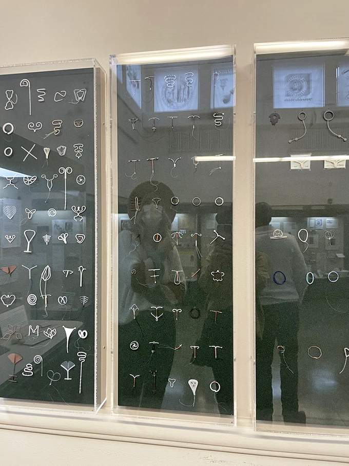 A display case of IUDs through history reveals the surprising variety of contraceptive designs. Family planning has quite the evolutionary tree!