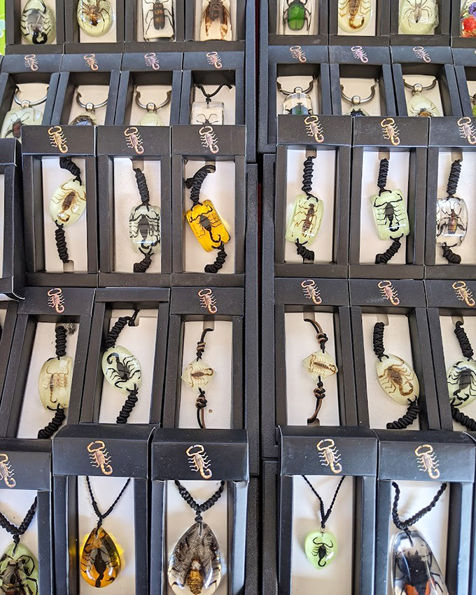 Insects immortalized in amber&mdash;Jurassic Park meets jewelry box. Conversation starters that ensure you'll never have the same necklace as anyone else.