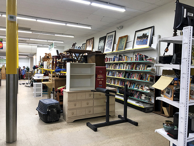 Books, furniture, and household goods coexist in organized chaos. One person's decluttering mission becomes another's decorating inspiration.