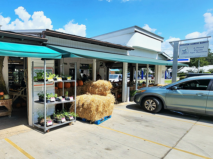 Jefferson Farmers Market brings farm-to-table back to its roots, with hay bales and fresh produce creating a scene Norman Rockwell would have loved.