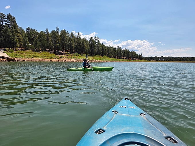 Kayaking on Fool Hollow Lake costs less than a fancy dinner in the city, yet delivers priceless moments of serenity amid Arizona's stunning natural beauty.