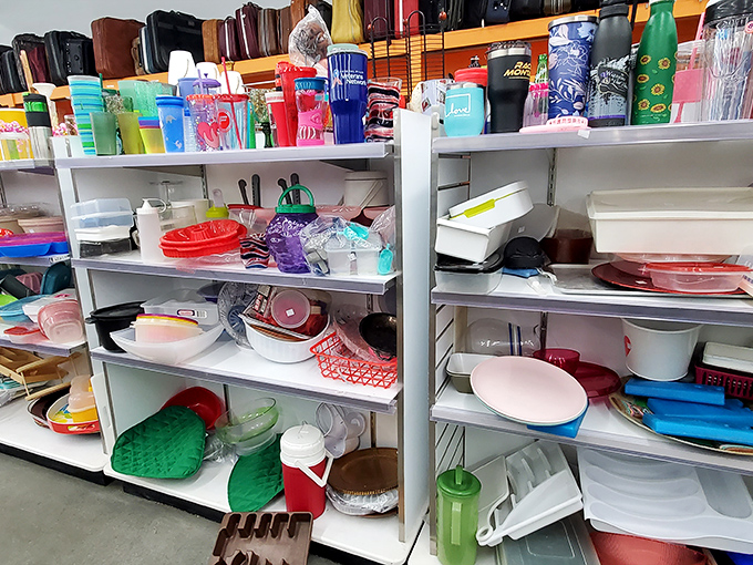 Colorful plastic kitchenware creates a rainbow of practical possibilities&mdash;perfect for stocking a first apartment or adding to a collection.