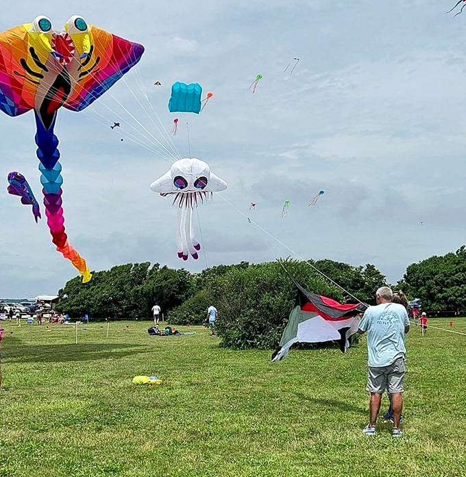 The sky becomes a canvas of color! Elaborate kites dance on ocean breezes, transforming an ordinary day into a festival of flight.