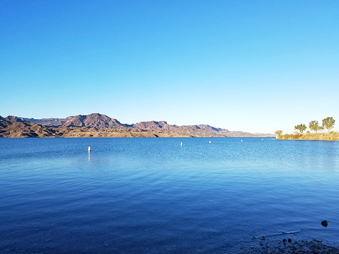 The Colorado River stretches like liquid sapphire against the desert palette. Proof that Arizona keeps its best secrets underwater.