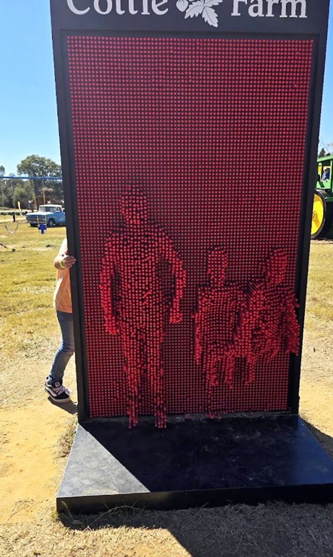 A digital strawberry family portrait? This quirky LED wall transforms visitors into berry-shaped silhouettes for social media-worthy moments.