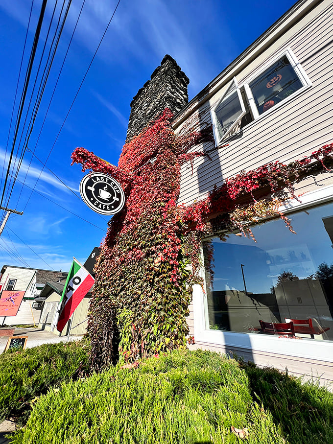 Last Cup Cafe's ivy-covered exterior promises the kind of coffee experience where baristas remember your name and nobody rushes you through the crossword.