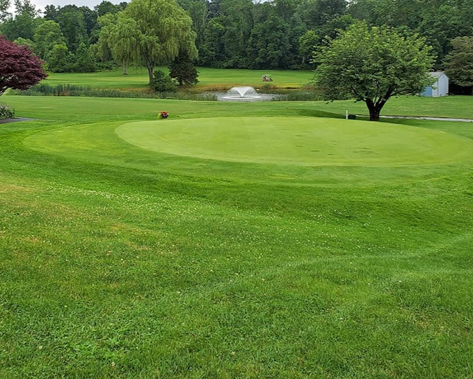 Lincoln Country Club offers perfectly manicured greens where duffers and pros alike can curse their putts in scenic splendor.