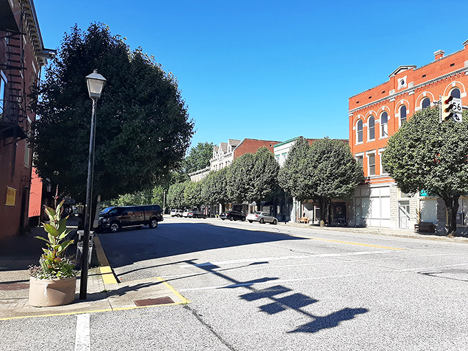 Vevay's tree-lined streets offer the kind of shade that makes summer strolls possible and parallel parking a delightful challenge.