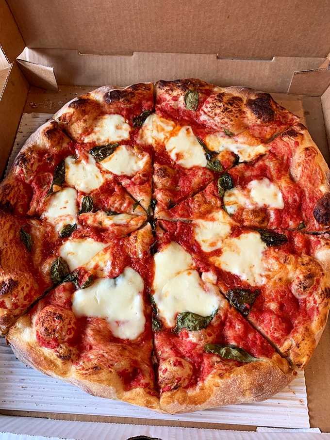 The margherita pizza that makes you question why you'd ever order anything else. Fresh basil leaves like emeralds on a sea of molten cheese.