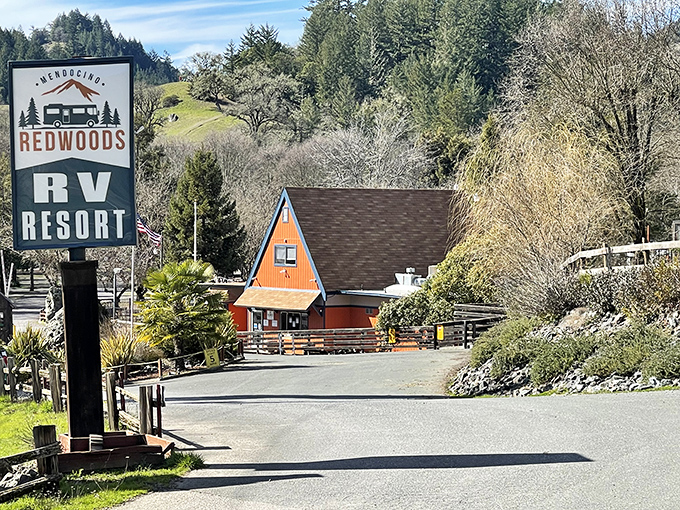 Mendocino Redwoods RV Resort welcomes wanderers with affordable accommodations nestled among trees that were already ancient when your mortgage was new.