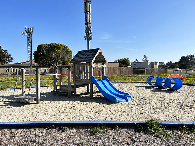 A playground where kids can actually be kids, with the Pacific Ocean providing the soundtrack instead of digital beeps.