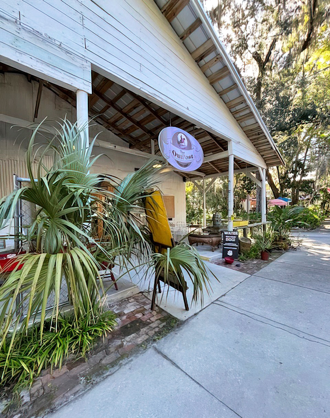 The Micanopy Trading Outpost's lush entrance suggests that even the plants couldn't resist setting up shop in this charming town.