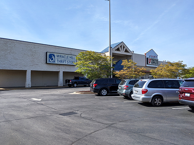 Treasure hunters know thrift stores are where vintage finds hide in plain sight, waiting for someone to recognize their worth.