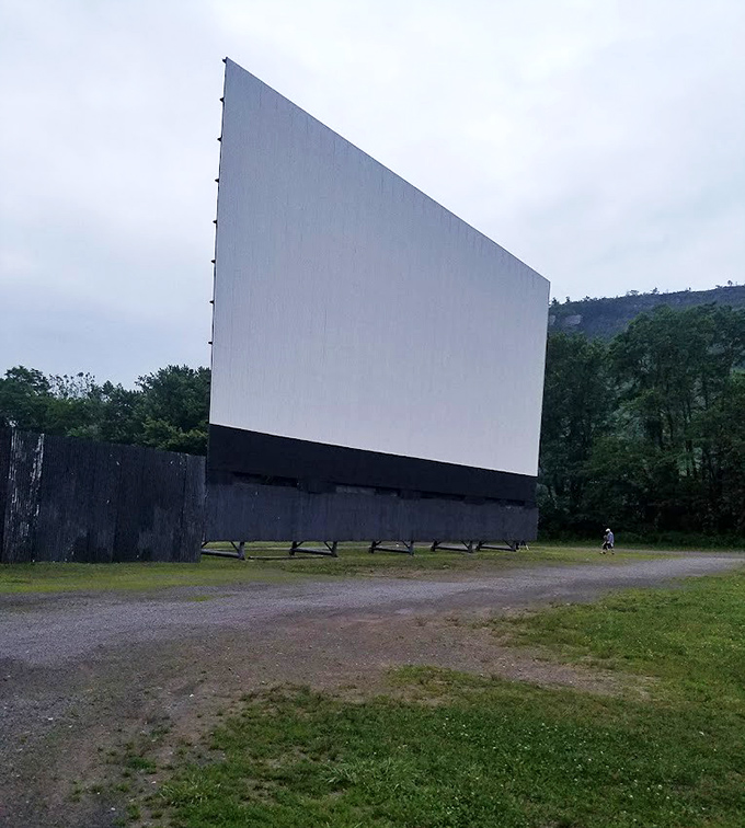 Standing in the shadow of the massive screen, you realize some things are better when they're larger than life.