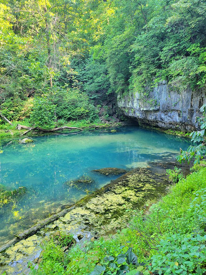 Caribbean blue in the heart of Missouri. The spring's otherworldly turquoise waters seem transported from a tropical paradise. 