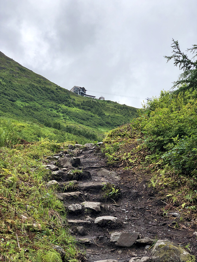 The path less traveled often leads to the best views. This rocky trail promises adventure and perspective in equal measure.