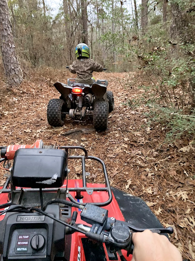 ATV adventures through pine-needle carpeted trails. Like nature's roller coaster, but you control the excitement level.