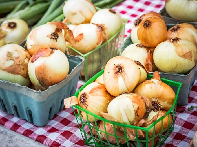Onions nestled in baskets like sleeping babies. The foundation of practically every good meal ever made, finally getting the respect they deserve.