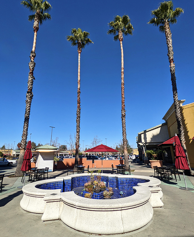 The Mediterranean-inspired courtyard offers respite for weary shoppers. Those palm trees have witnessed countless "I shouldn't have" purchases.
