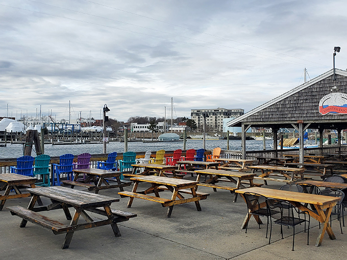 The rainbow brigade of seaside seating. These cheerful chairs invite you to settle in, savor slowly, and watch the water world go by.