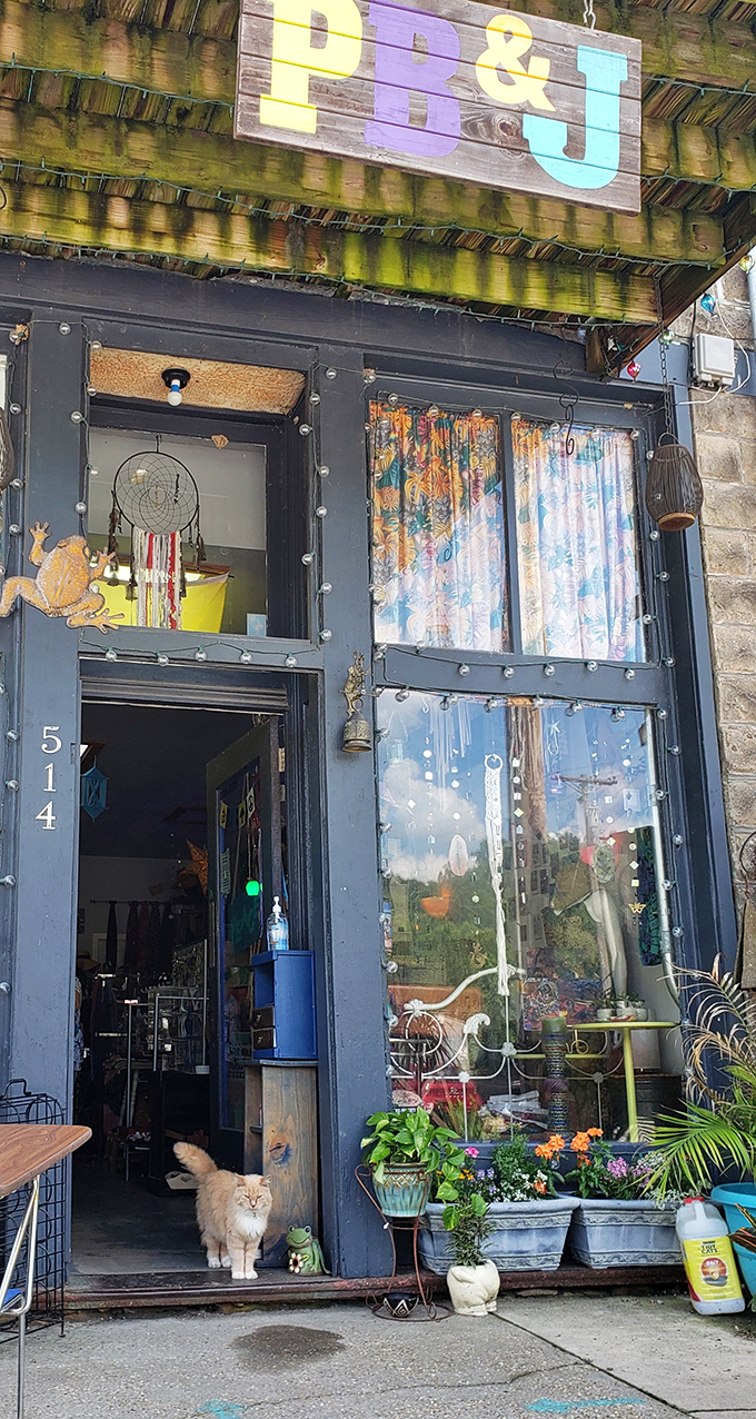 This whimsical storefront could be the setting for a Wes Anderson film&mdash;complete with resident feline doorkeeper.