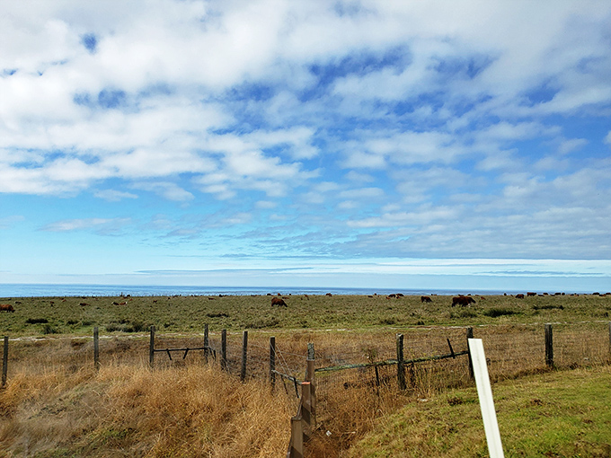 The Pacific stretches to infinity beyond these golden fields. Somewhere, a meditation app is trying to bottle this exact feeling.