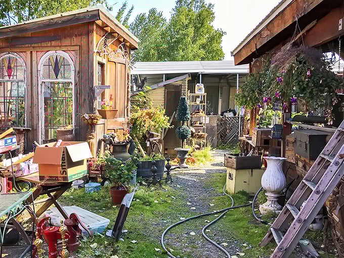 The outdoor section feels like stumbling into a secret garden where rusty treasures and green life create an unexpected harmony.