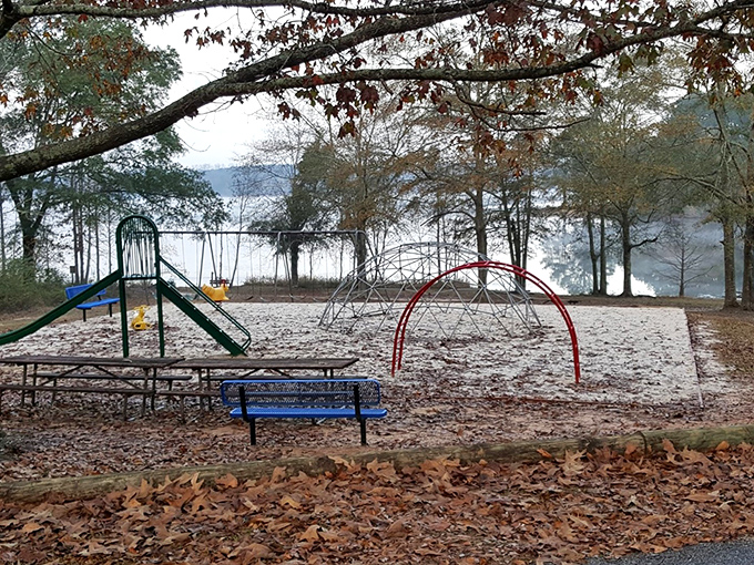 The classic pavilion provides shelter for family gatherings where potato salad and laughter are the main attractions.