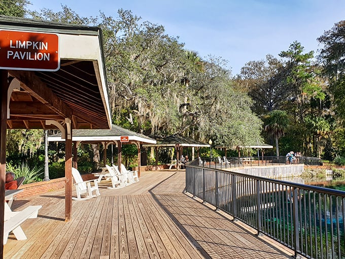 The Limpkin Pavilion offers front-row seats to nature's theater, where wading birds perform their hunting ballet throughout the day.