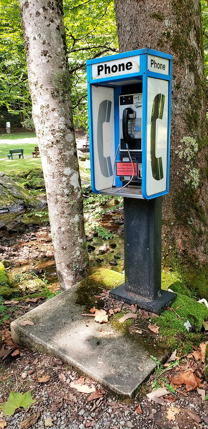 The blue phone booth stands as a charming relic from the pre-smartphone era&mdash;like finding a dinosaur that still works!