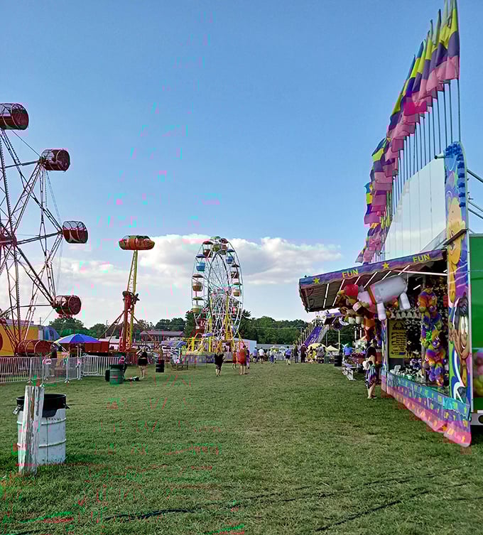The county fair brings technicolor joy to Mountain Home, proving small towns still know how to throw a party that delights all ages.