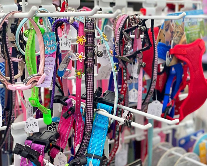 Pet accessory paradise! A rainbow of collars and harnesses where Fido's fashion sense can truly shine without breaking the bank.