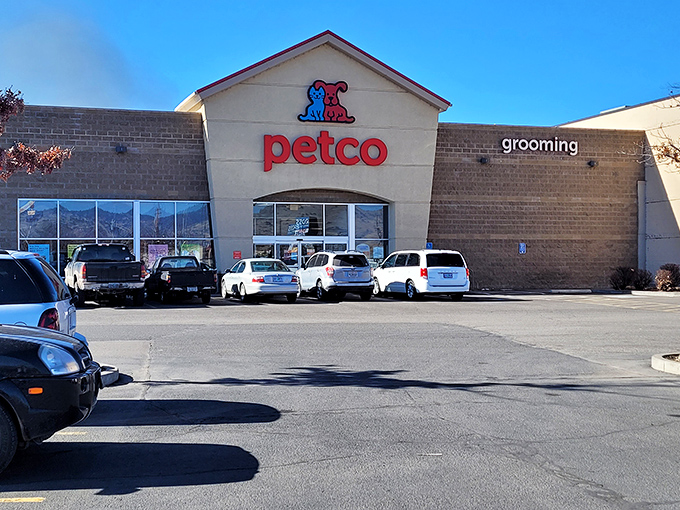 Even Petco in Klamath Falls looks more inviting than big-city versions&mdash;because your four-legged friend deserves small-town friendliness too.
