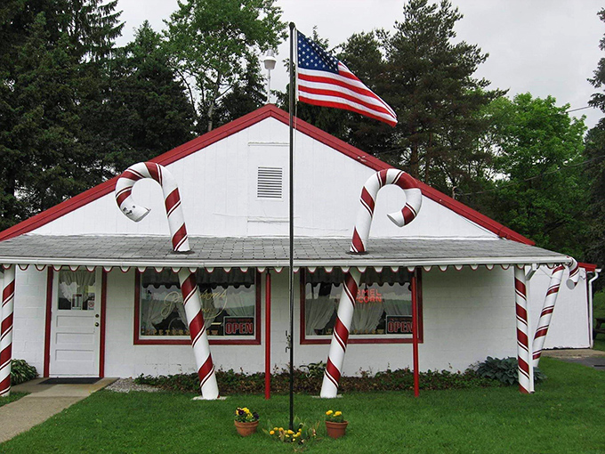 Peterson's Candies promises sweet nostalgia in every bite, where candy-making traditions span generations of satisfied smiles.