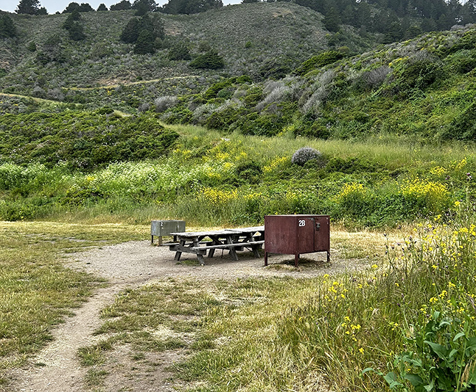This picnic area offers a moment of civilization in the wilderness, perfect for refueling before tackling the final miles.