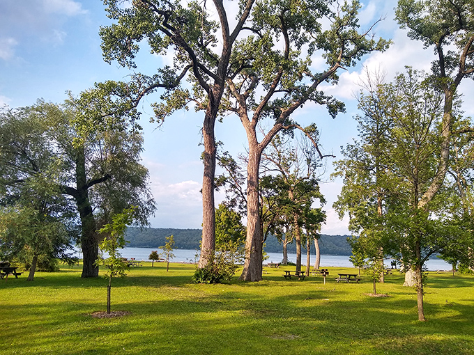 Majestic trees stand guard over pristine picnic grounds. These gentle giants have witnessed countless family gatherings, first dates, and peaceful solo lunches.