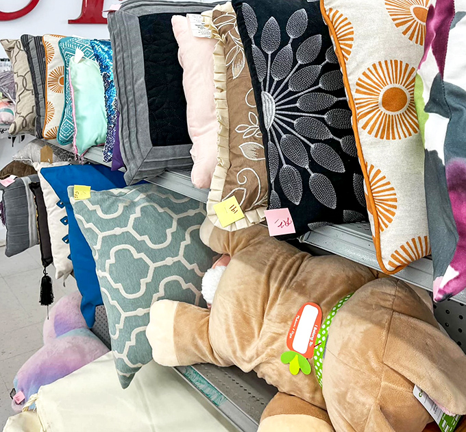 Decorative pillows with personality wait patiently to transform your couch from "meh" to magazine-worthy without emptying your wallet.