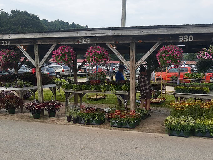 Garden dreams in numbered stalls. These hanging baskets and potted perennials are just waiting to transform a porch from boring to botanical.