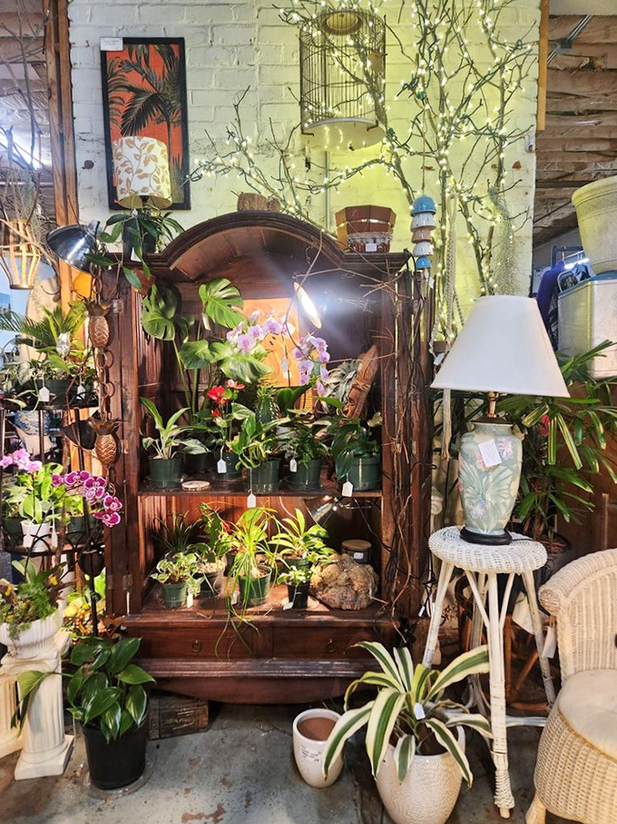An antique dresser becomes a plant sanctuary, proving that everything old really can bloom new again.