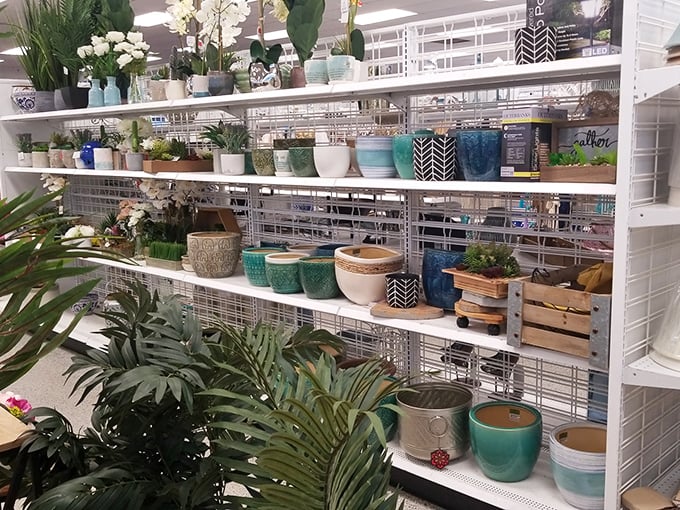 A jungle of affordable greenery where even notorious plant-killers can afford to try again... and again.