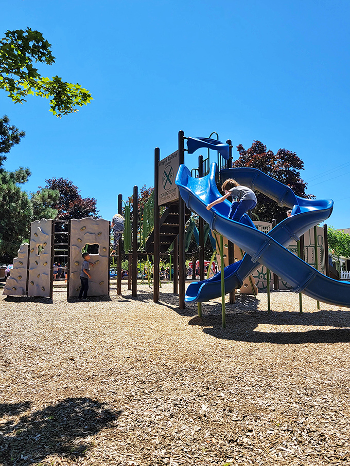 Kids sliding into fun while parents slide into antique shops. Coburg brilliantly balances family-friendly spaces with treasure-hunting opportunities.