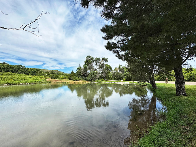 This hidden pond proves that sometimes the best discoveries come when you wander off the beaten path.