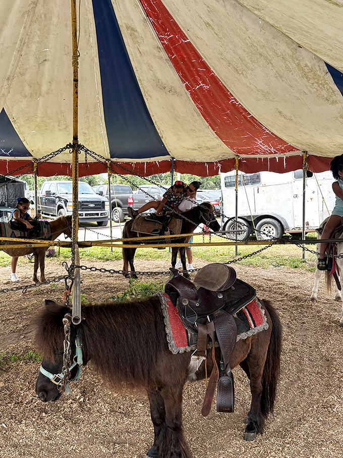 Giddy-up for old-school fun! These pint-sized ponies offer children the kind of analog entertainment that no smartphone game can replicate.