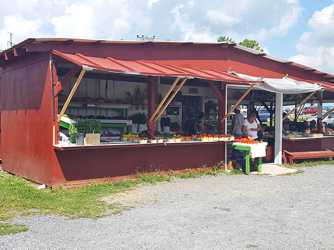 Farm-fresh produce stands bring a burst of local flavor to the market &ndash; because treasure hunting works up an appetite for nature's candy.