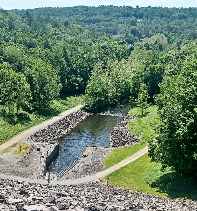 Engineering marvel meets natural beauty at Prompton Dam's spillway. Water management never looked so good or created such peaceful surroundings.