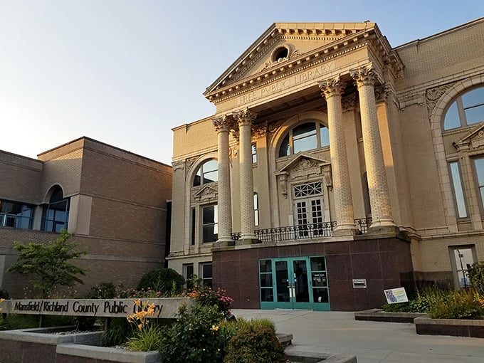 The public library: your tax dollars actually bought something beautiful that doesn't require an instruction manual.