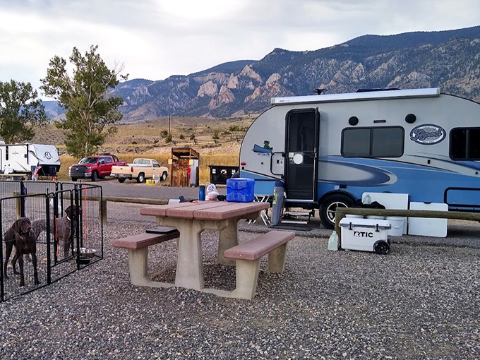 RV living with a backdrop that makes luxury resorts look ordinary. Even the dog seems impressed by nature's version of a five-star lobby.