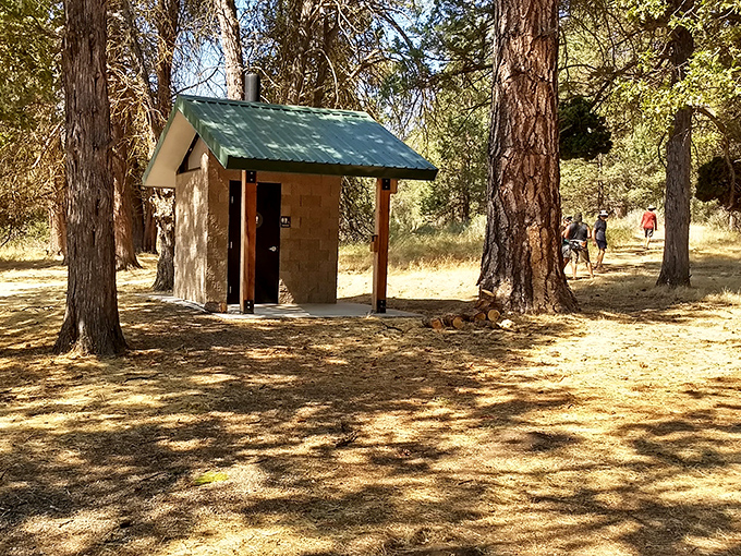 Even in the wilderness, certain facilities are appreciated. This humble outhouse might be the most scenic restroom you'll ever visit.